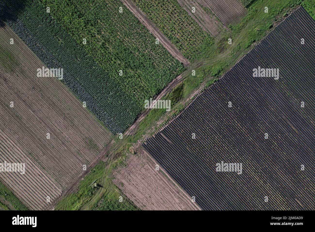 An aerial view of fields under a bright sky Stock Photo - Alamy