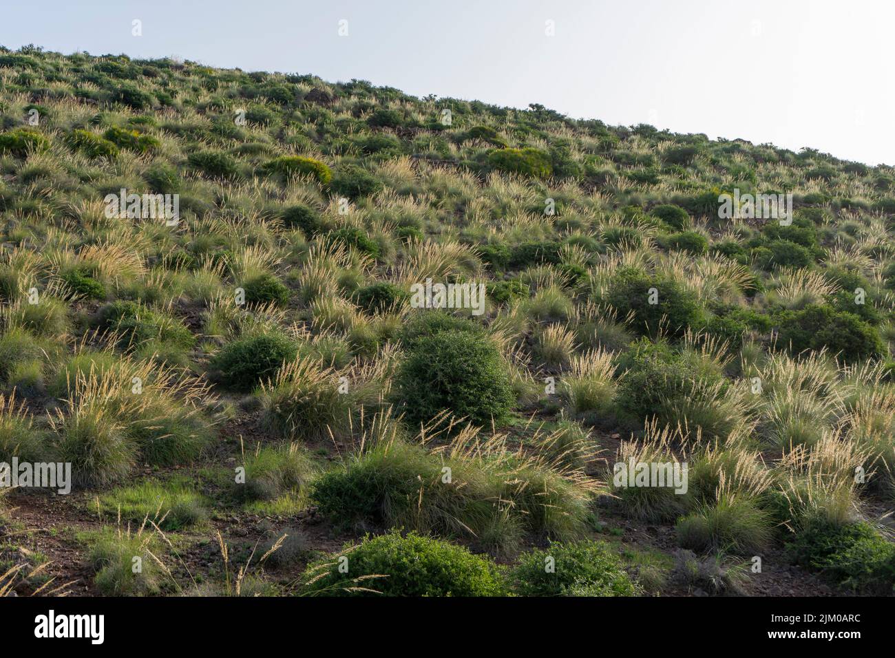 Green grass hillside hi-res stock photography and images - Alamy