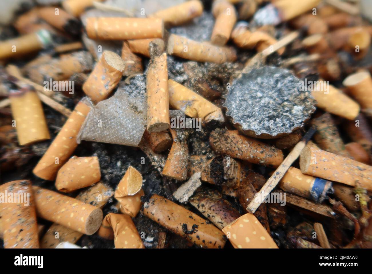 Closeup ingredient hi-res stock photography and images - Alamy