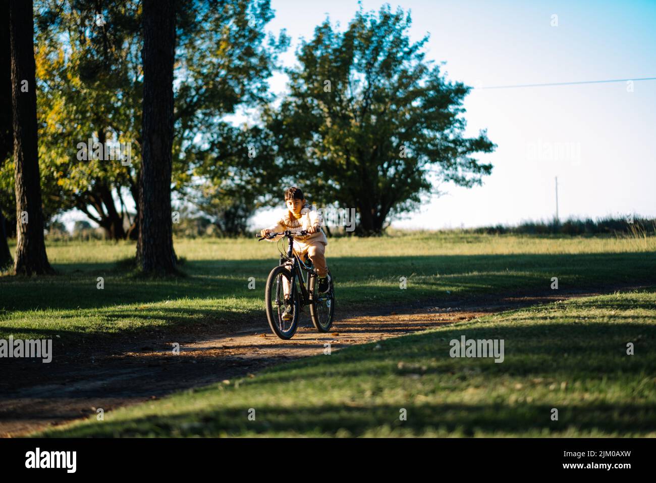 The young boy cycling in the park Stock Photo - Alamy