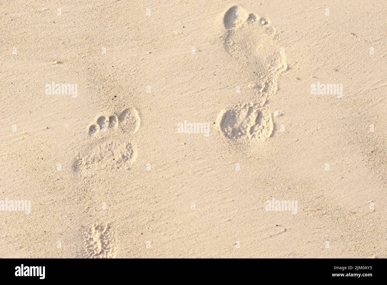 Beach sand texture step hi-res stock photography and images - Alamy