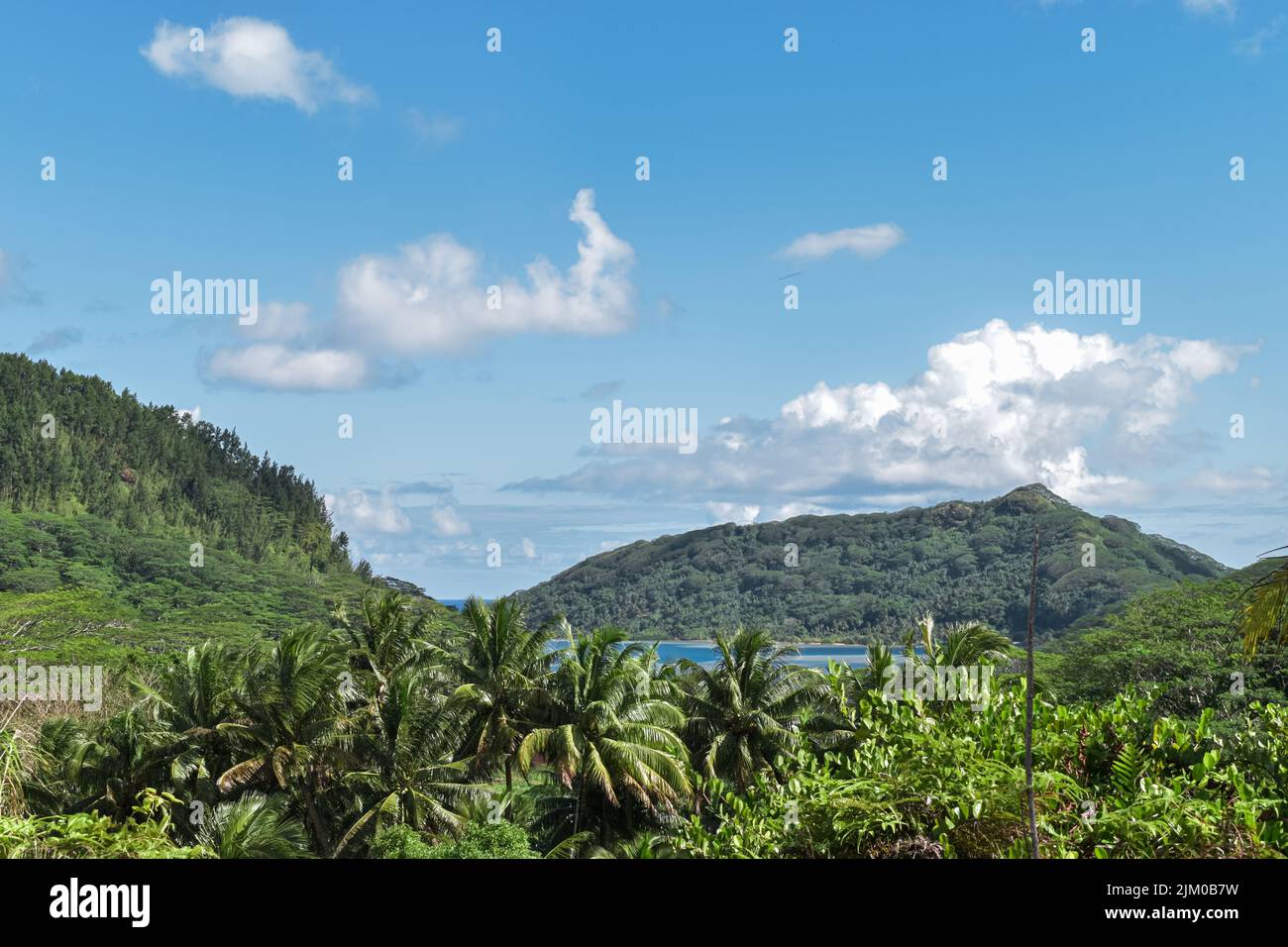 A beautiful landscape with mountains, coconut trees, and the blue sky ...