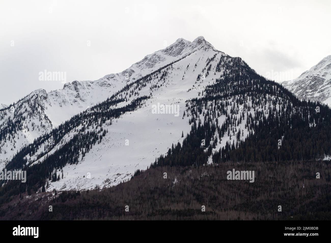 A beautiful view of a mountain in Valemount, British Columbia, Canada ...