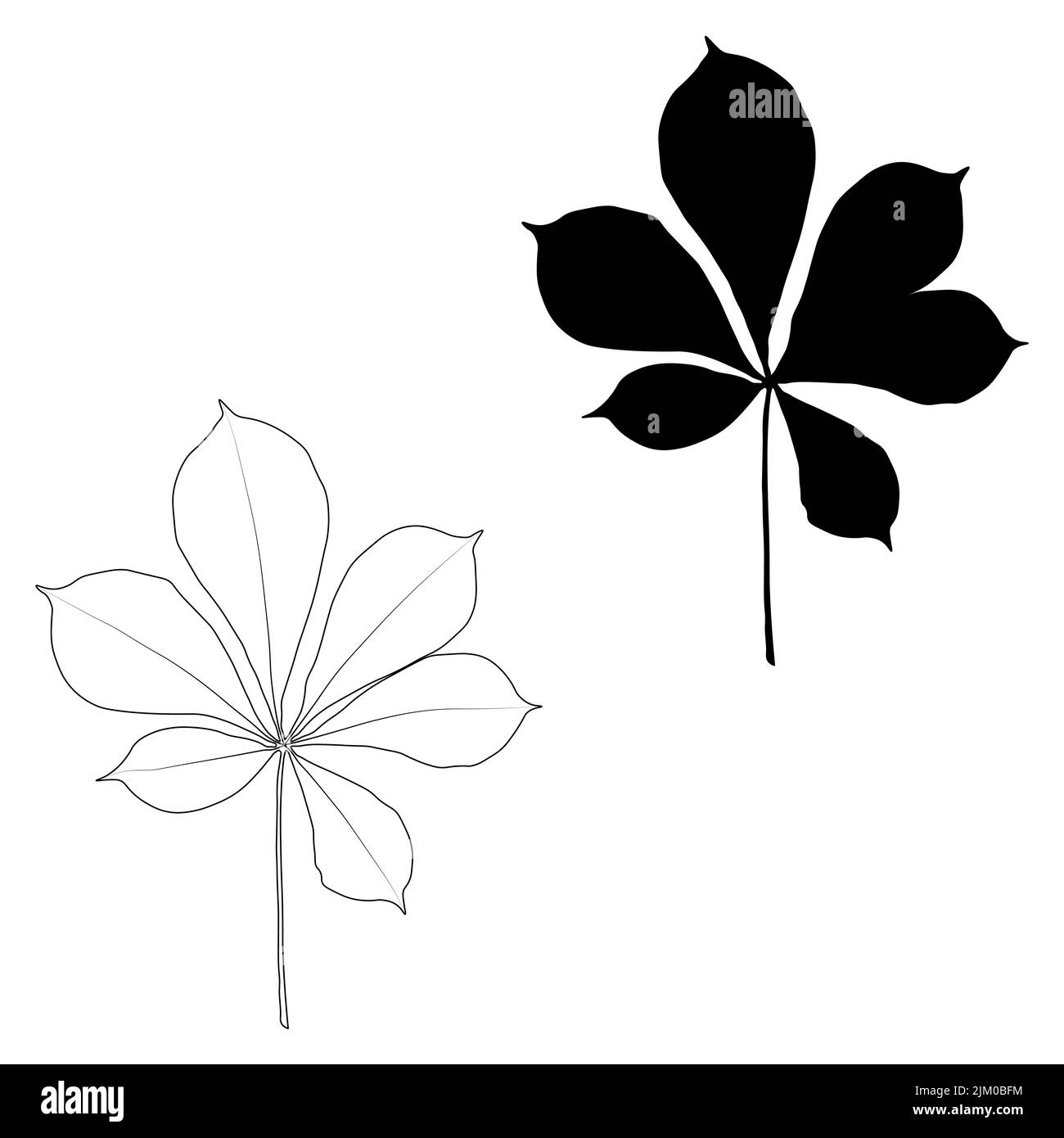 Set of vector chestnut leaf outline and silhouette black icon. Simple chestnut leaves ...