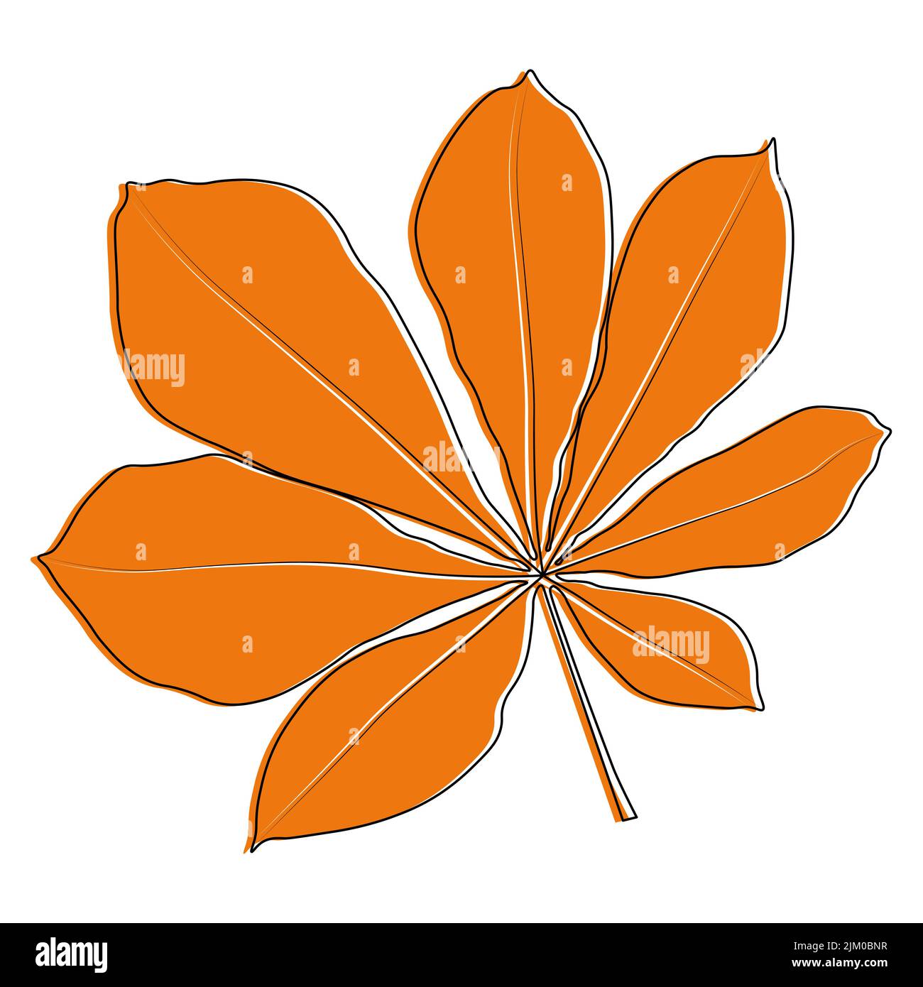 Set of vector chestnut leaf outline and coloured icon. Simple chestnut ...