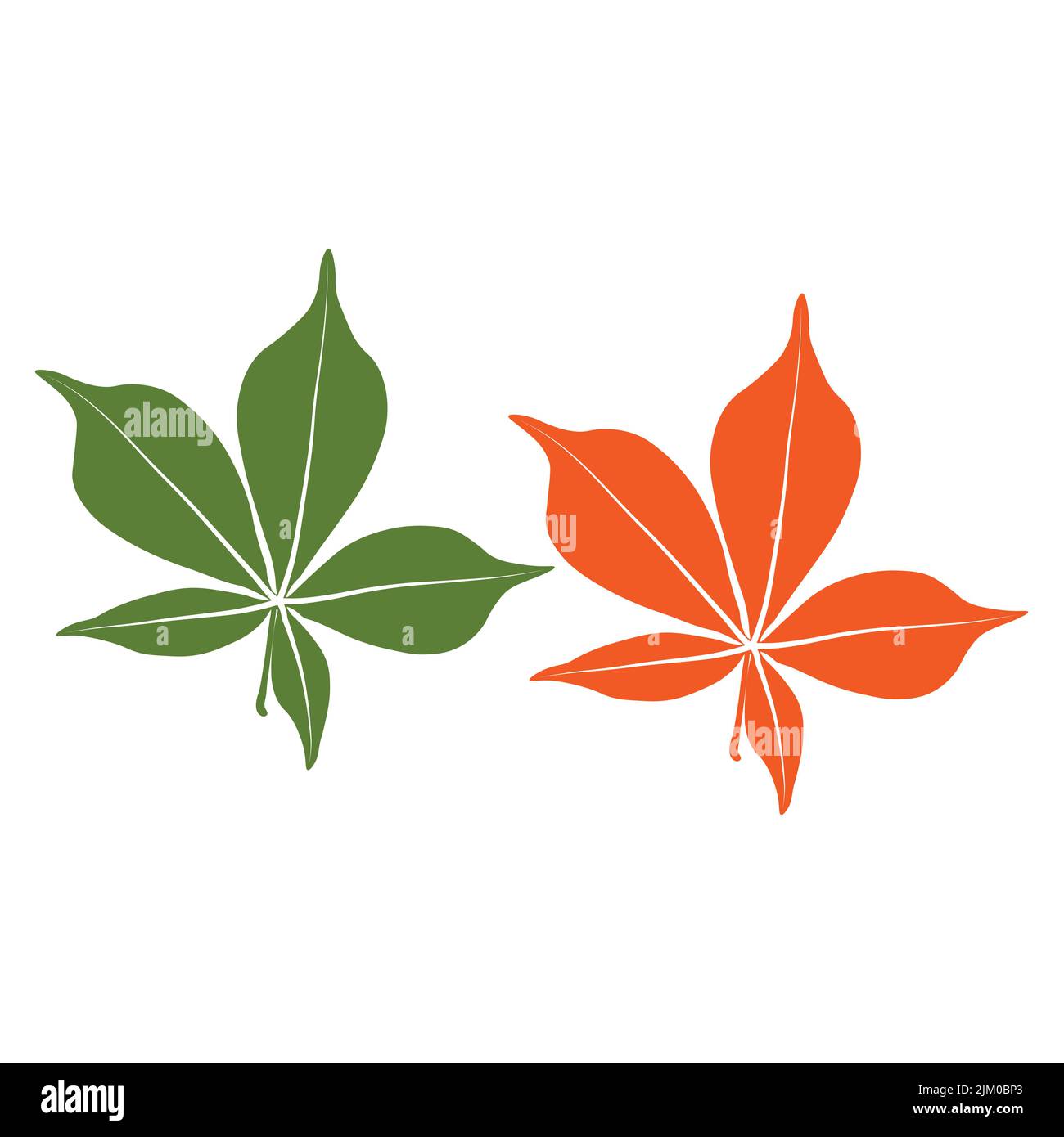 Set of vector chestnut leaf silhouette black and coloured icon. Simple ...