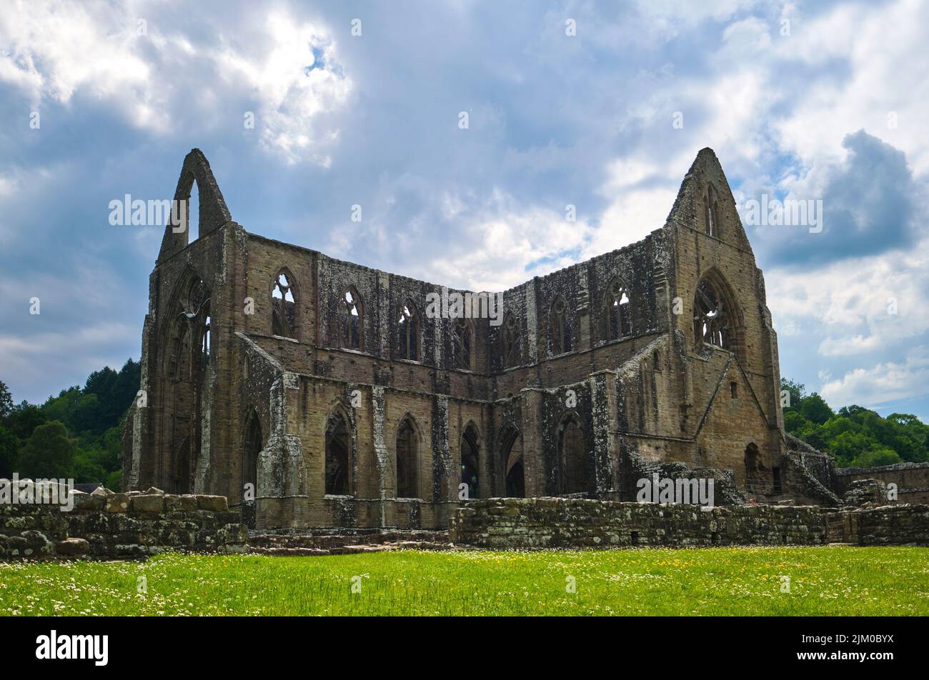 A wide angle view of the ruined stone structure. At Tintern Abby near ...