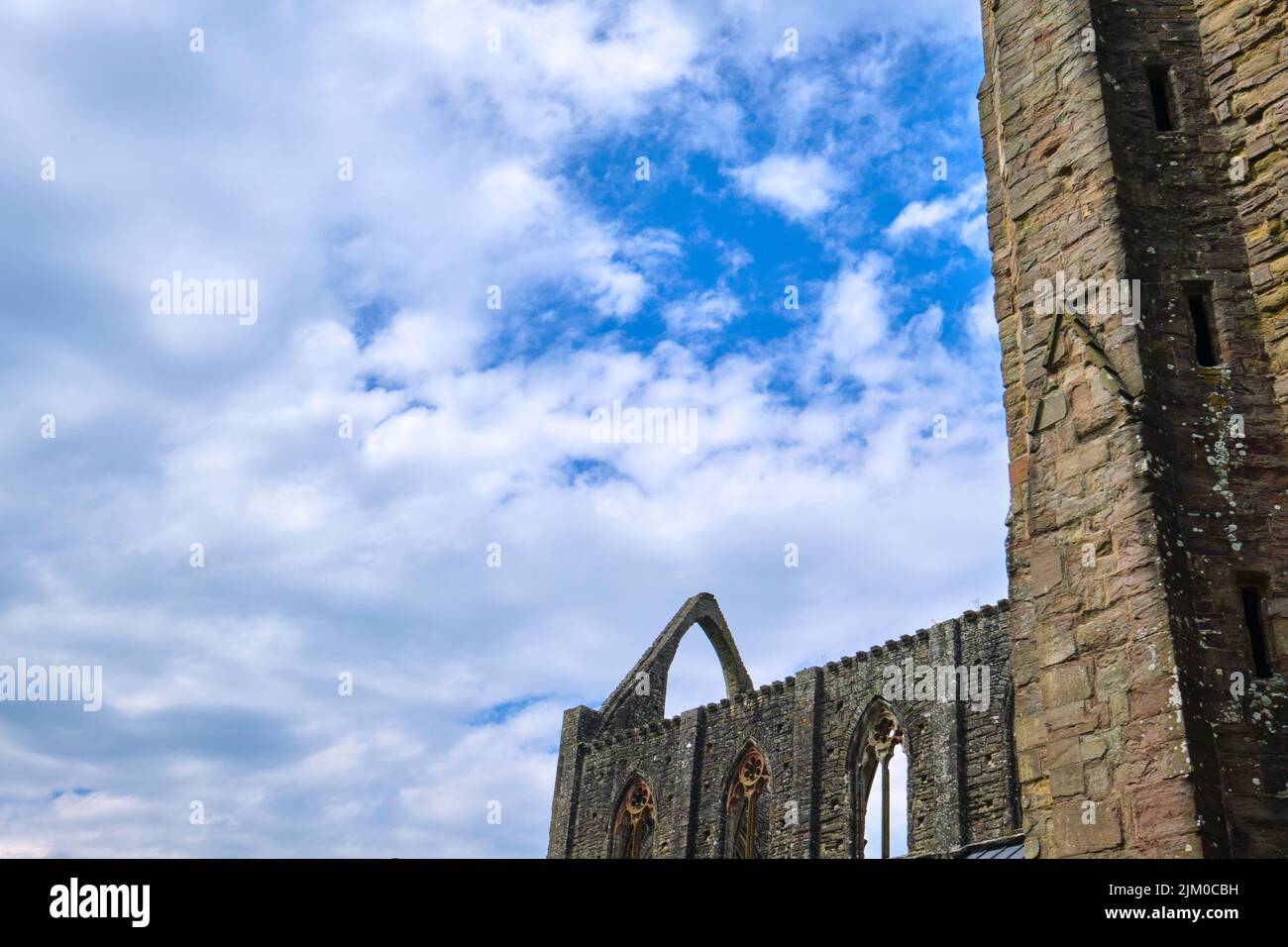 Abstract, graphic view of cathedral sections, details with empty space ...