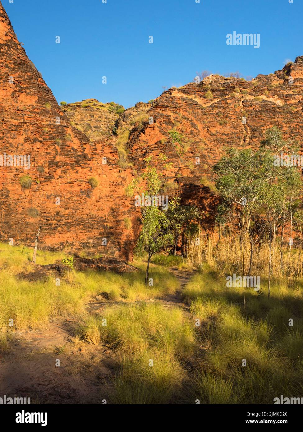 Walking track among the rugged sandstone karst outcrops of Mirima ...