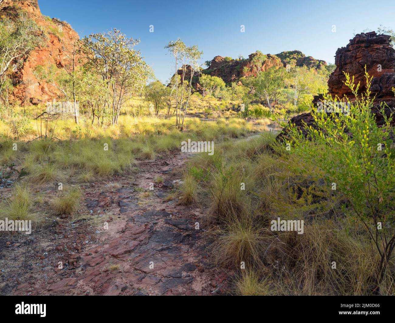 Walking track among the rugged sandstone karst outcrops of Mirima ...