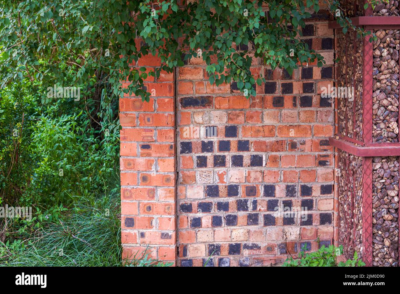 Red brick wall and green plants in the garden Stock Photo - Alamy