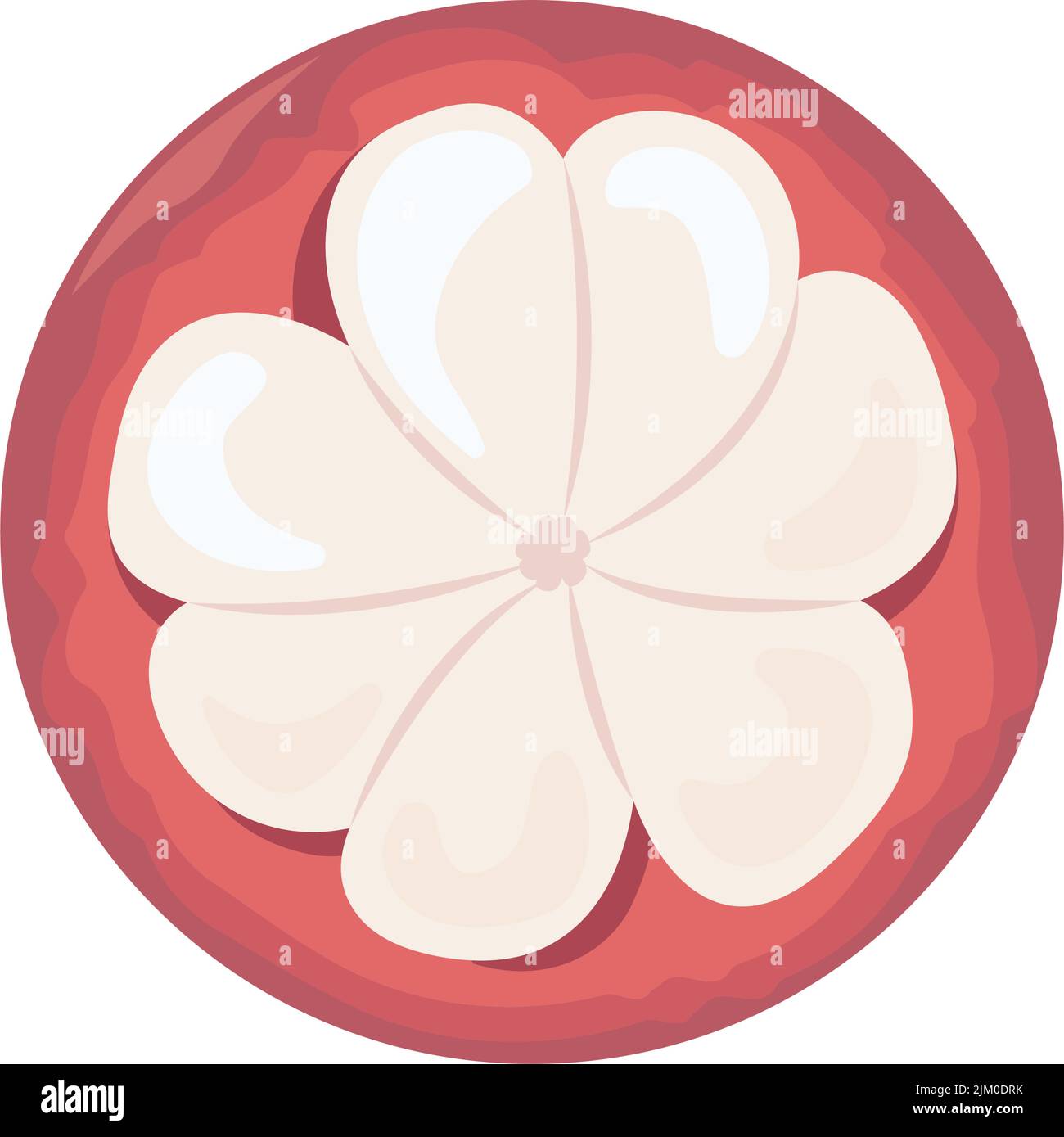 Fresh ripe mango half cut Stock Vector Images - Alamy