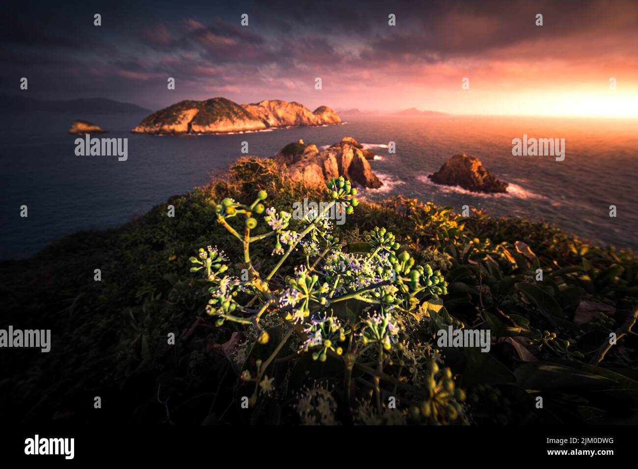 An aerial view of cliffs in the water at sunset in Hong Kong Stock ...