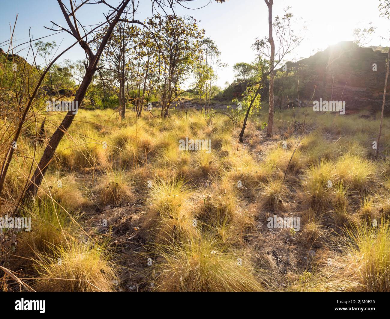 Scrub and spinifex by a sandstone karst outcrop in Mirima National Park ...