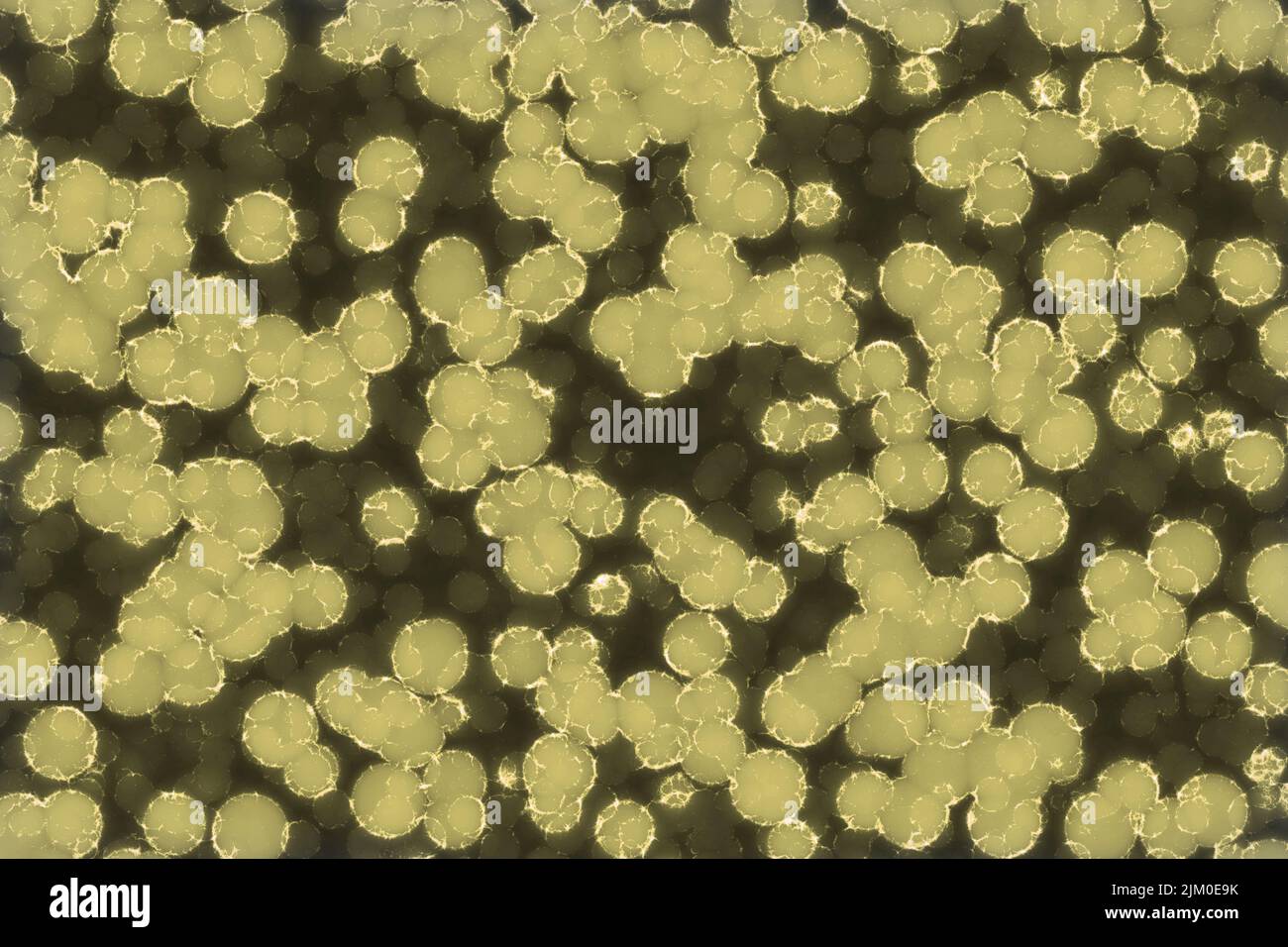 nice artistic huge amount of organic micro organisms digital graphics ...