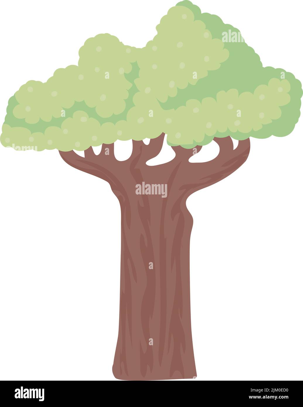 baobab tree icon Stock Vector Image & Art - Alamy