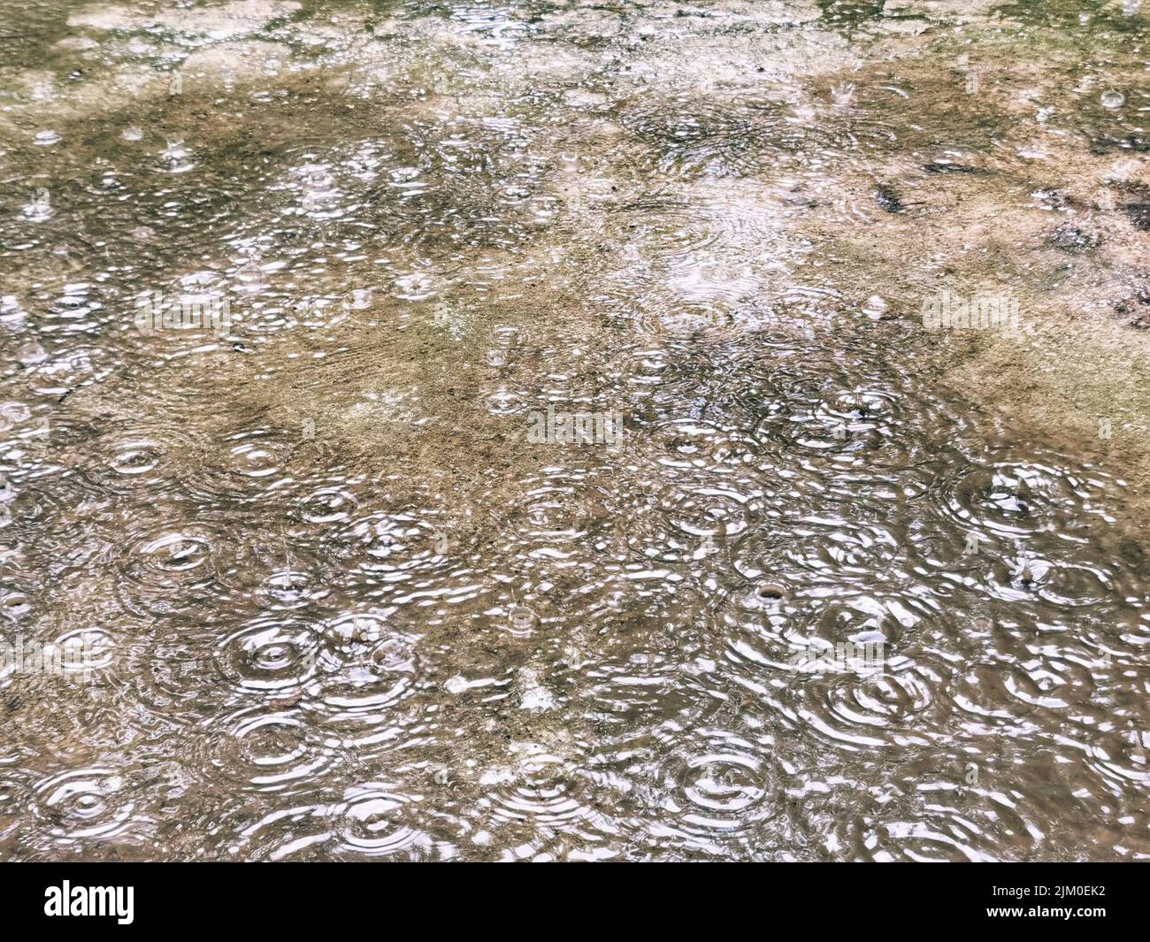 Rainy day. Raindrops fall on the floor forming circular patterns ...