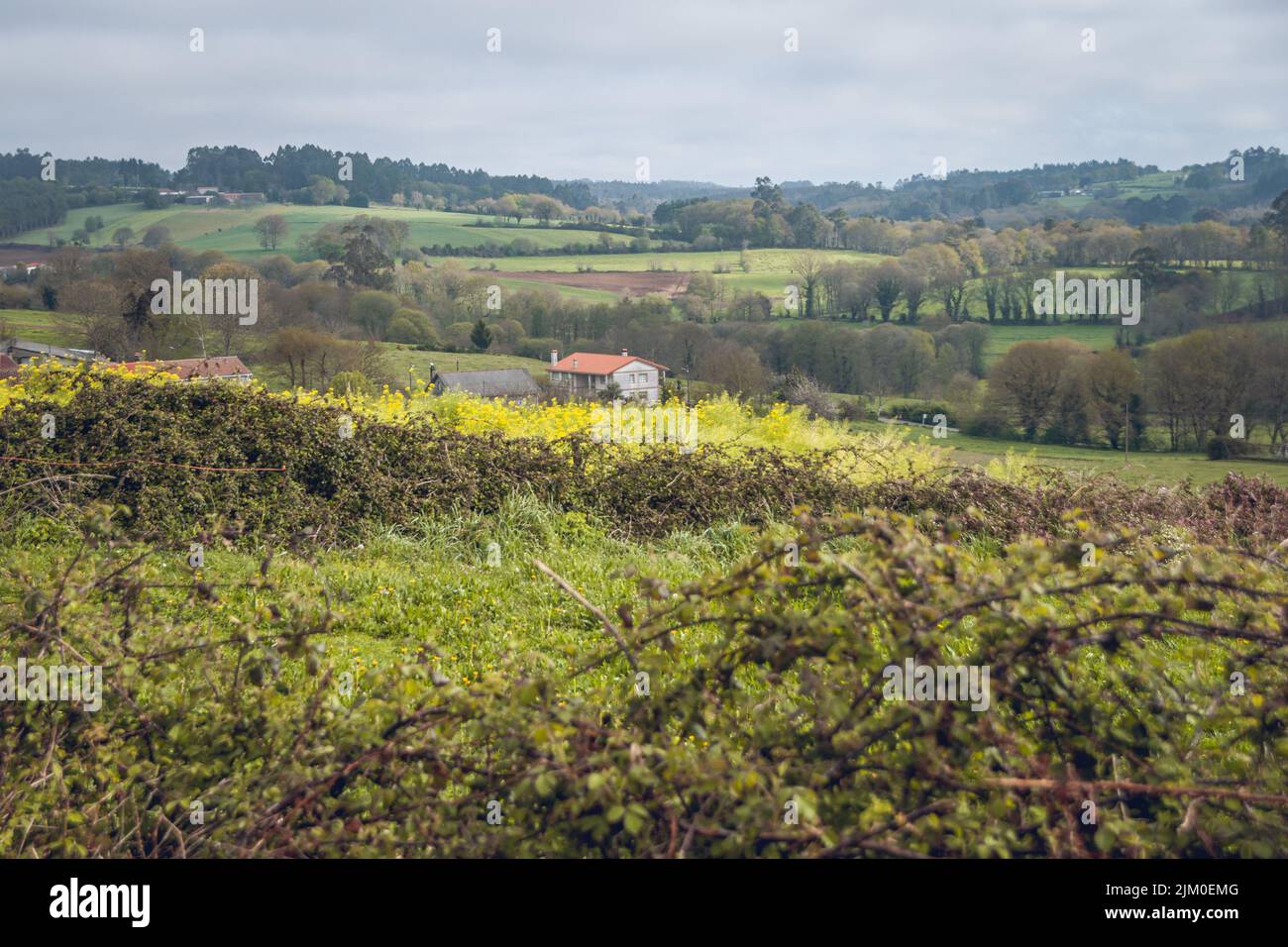 Rural galicia hi-res stock photography and images - Alamy