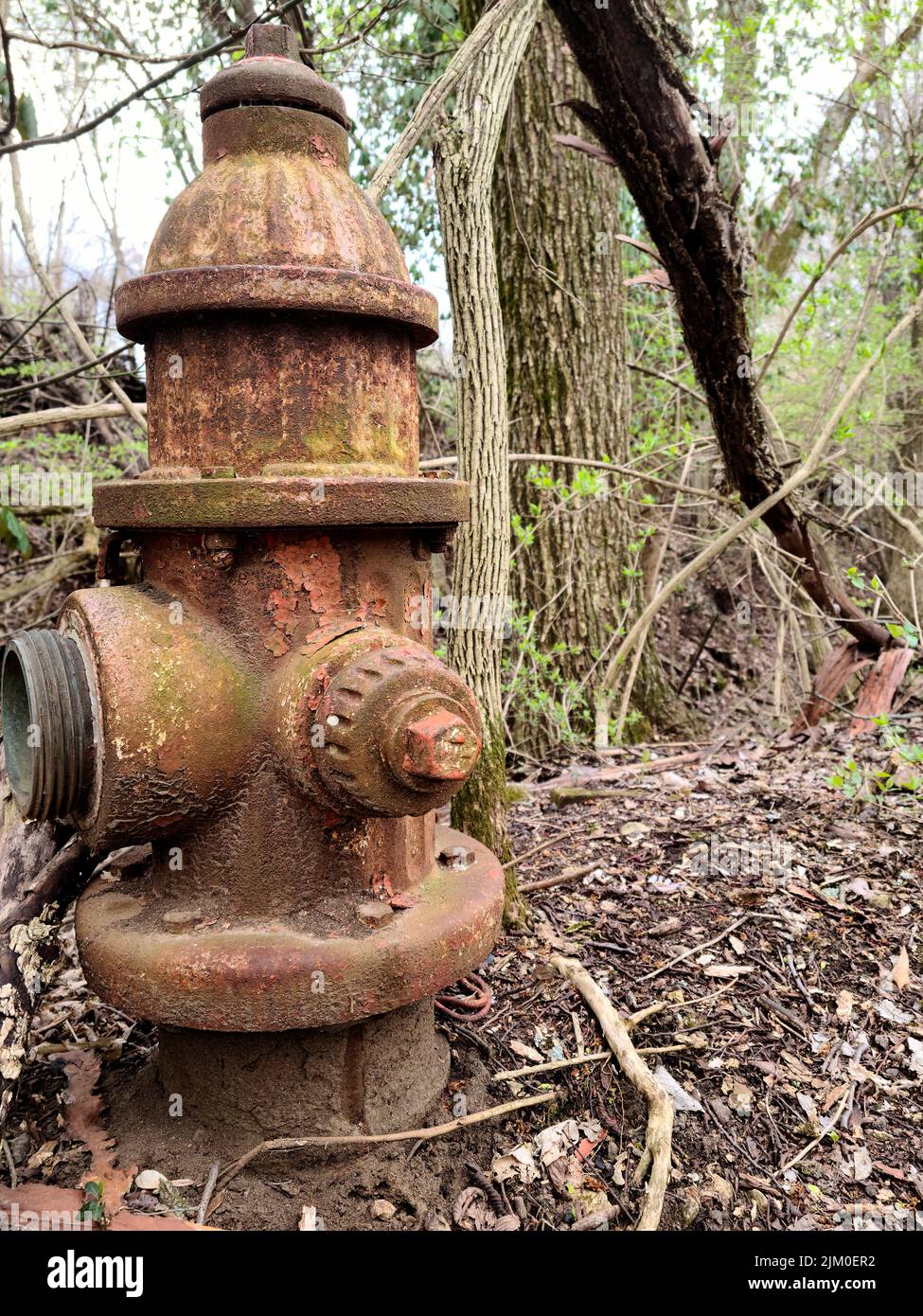 A vertical shot of a rusted dirty dire hydrant in the middle of the ...