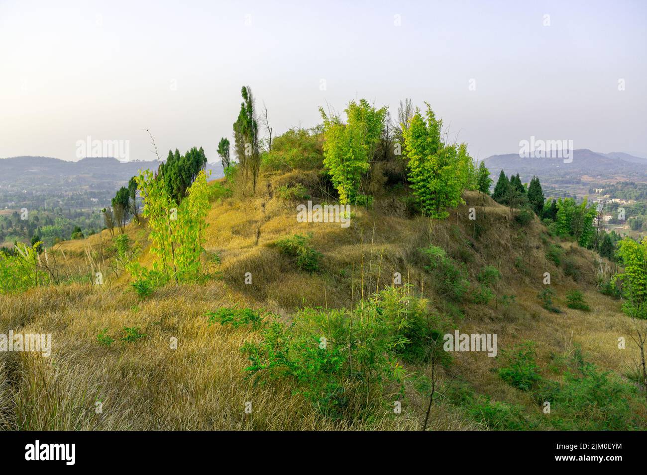 Mountain rural hills trees sky hi-res stock photography and images - Alamy