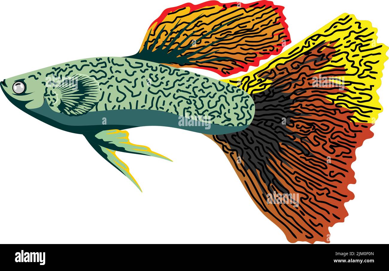 A logo design of a rainbow fish isolated on a white background Stock ...