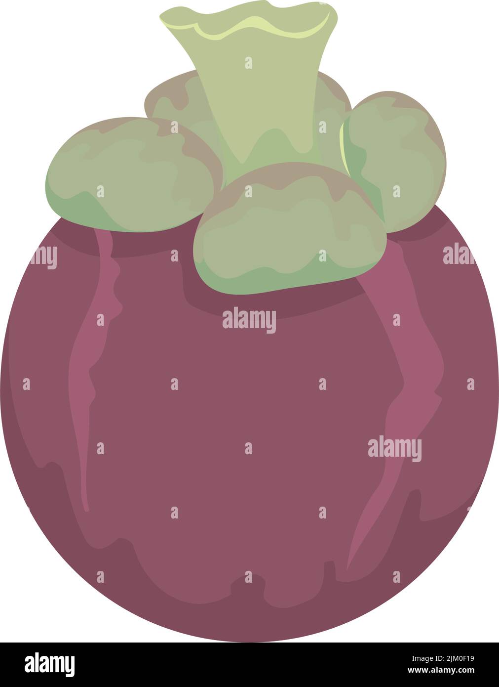 fruit mangosteen icon Stock Vector Image & Art - Alamy