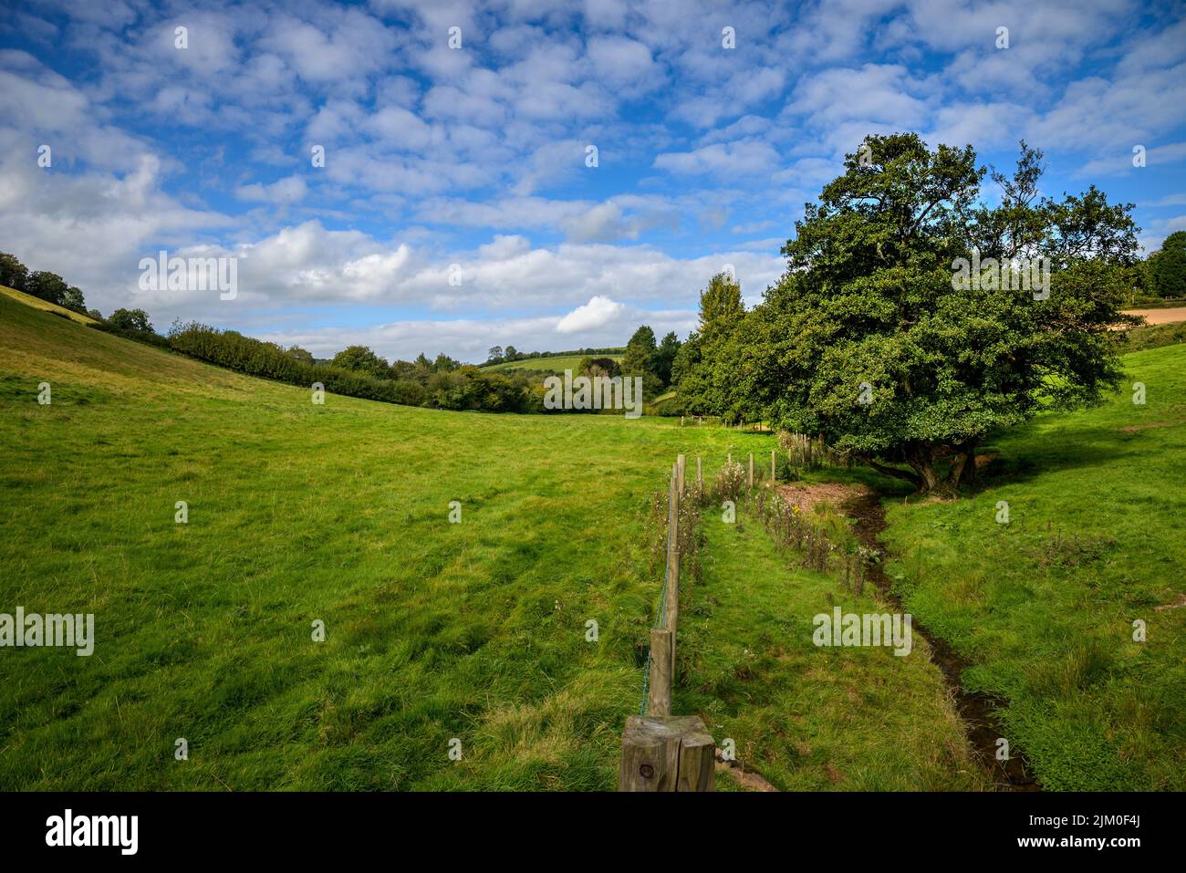 Rolling landscape of Exmoor Stock Photo - Alamy