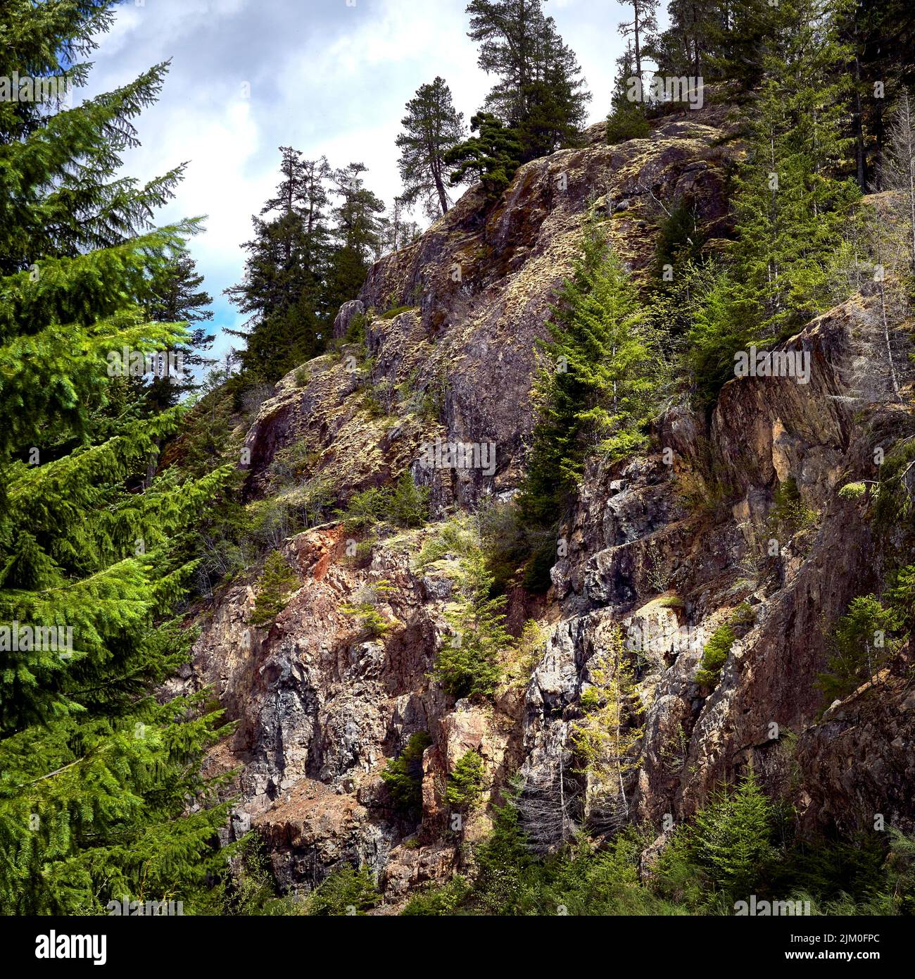 View of a rugged, colourful, high cliff with bright green trees as seen ...