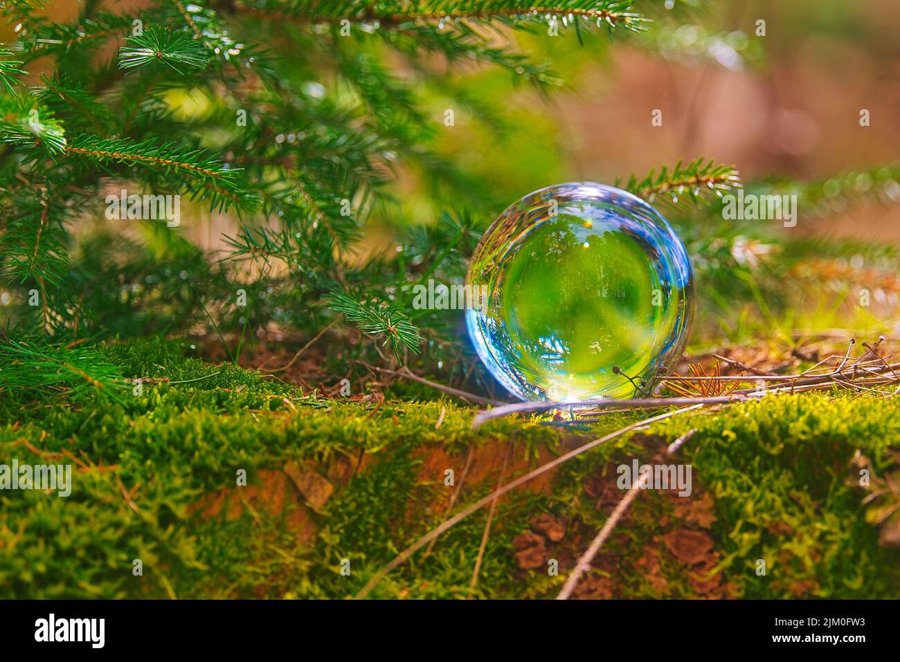 Crystal in forest hi-res stock photography and images - Alamy