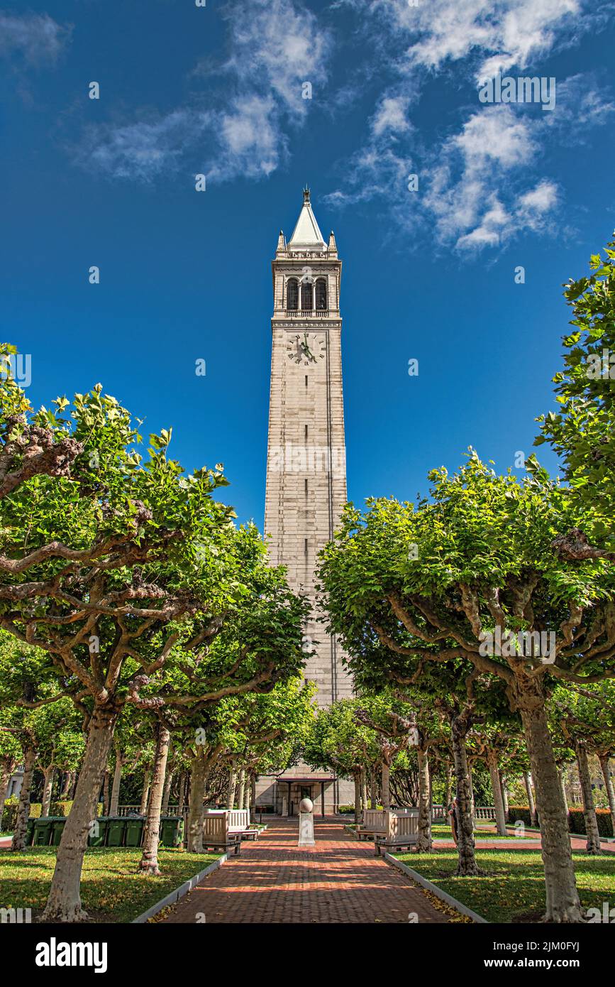 A vertical shot of the northern aspect of the Campanile (Sather Tower ...