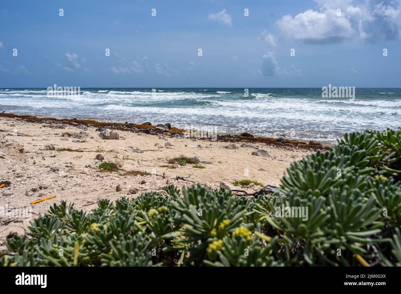 A scenic view of a coastline with turquoise ocean waves with white ...