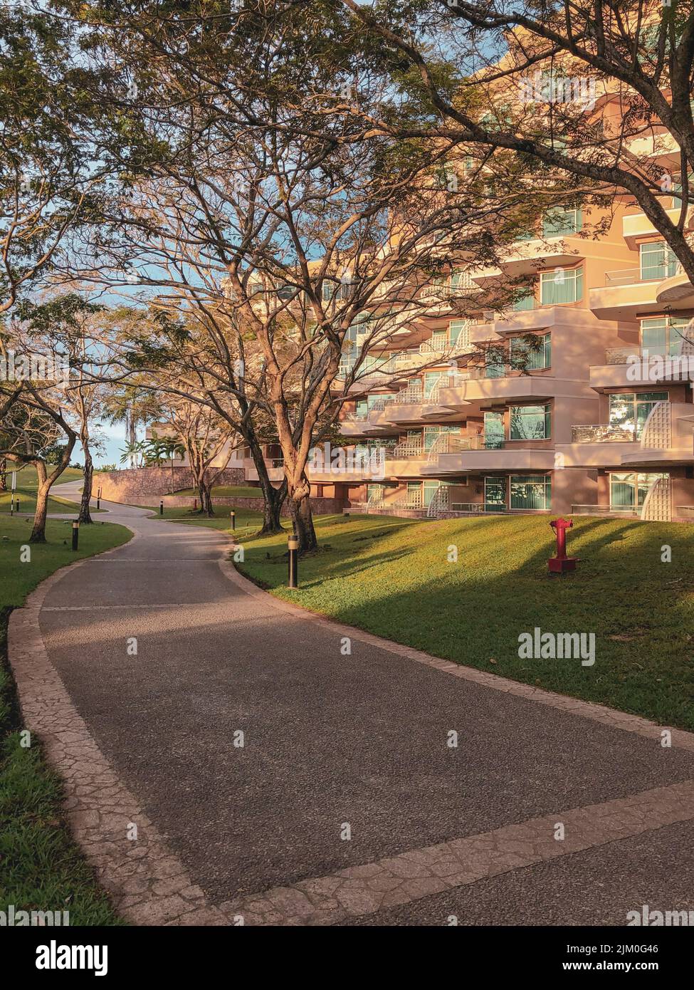 A vertical shot of a park path with beautiful trees by modern buildings ...