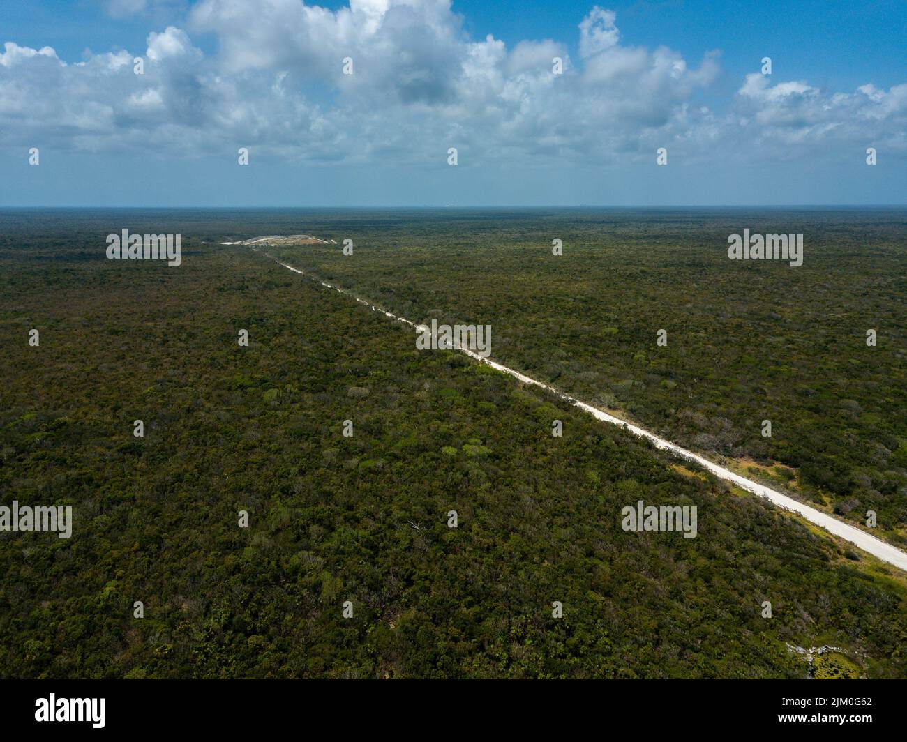 An aerial view of a highway surrounded by endless forest trees on a ...