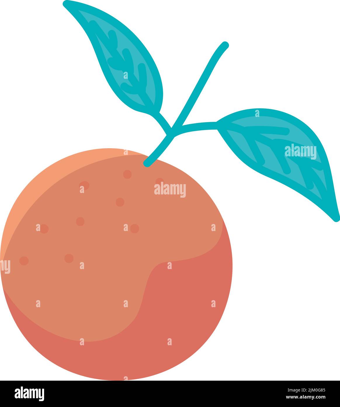 Freshly cut fruit Stock Vector Images - Alamy