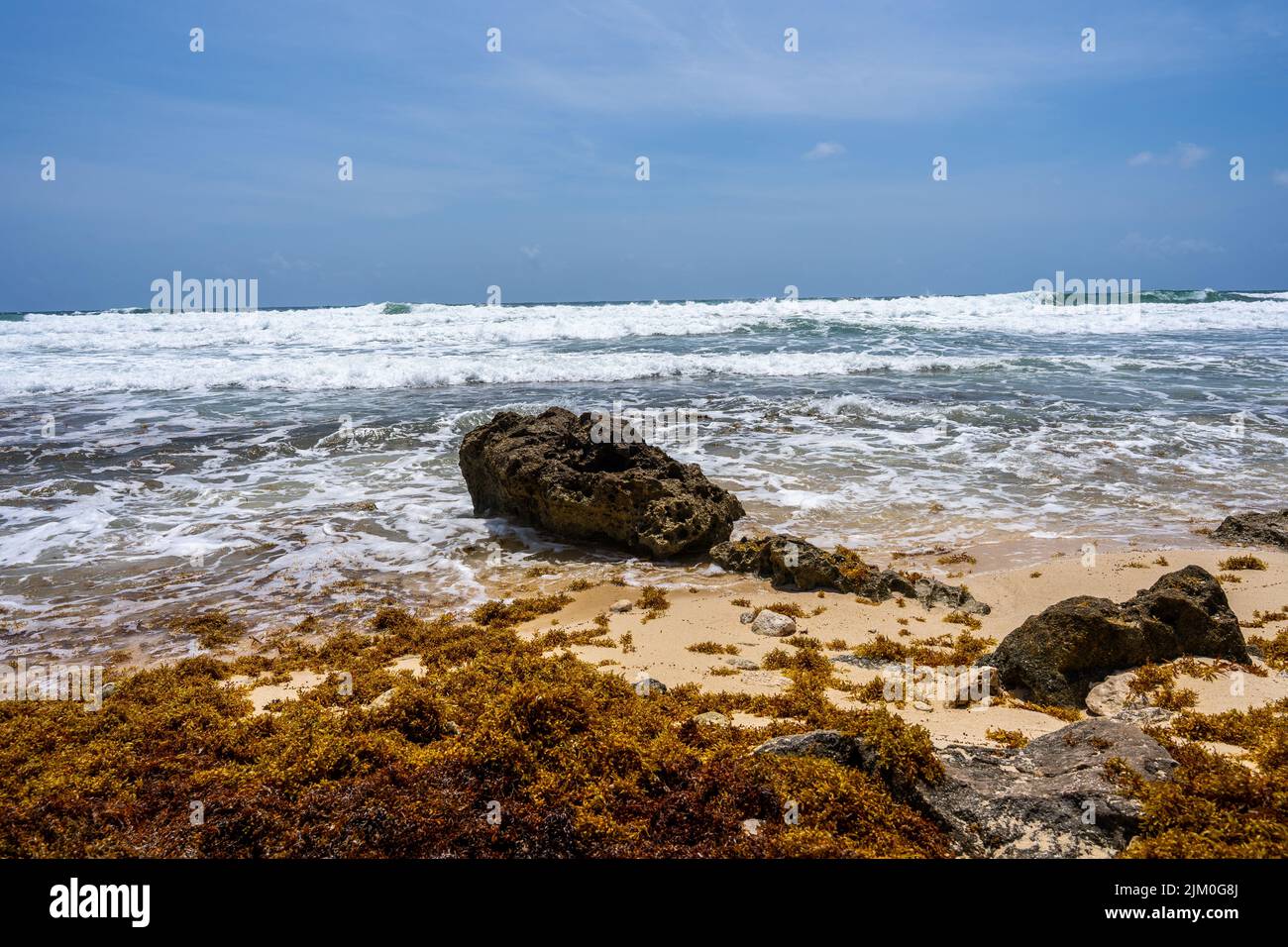 A wavy sea with moss on the beach under a blue cloudy sky Stock Photo ...