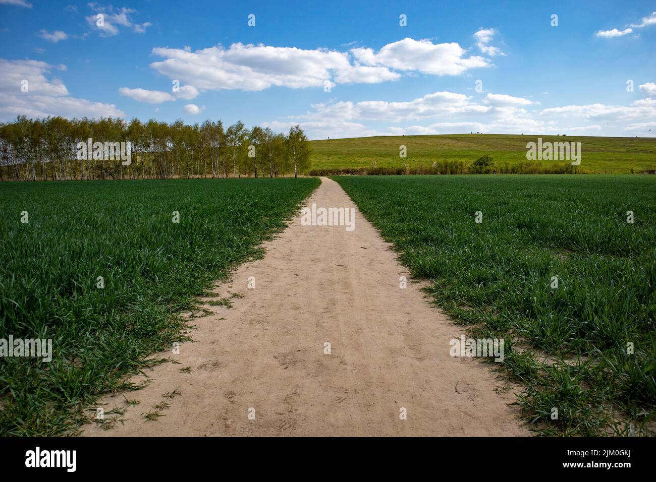 An empty road surrounded by greenery under a blue cloudy sky on a sunny ...