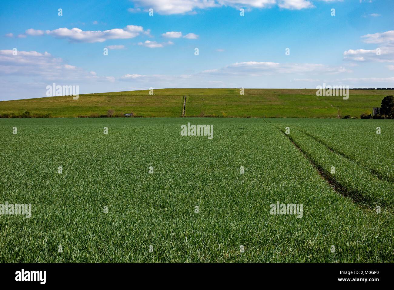 A suburb of Gropiusstadt locality in Berlin Stock Photo - Alamy