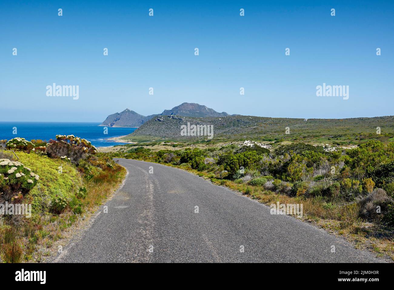 The wilderness of Cape Point National Park. Road through the wilderness ...