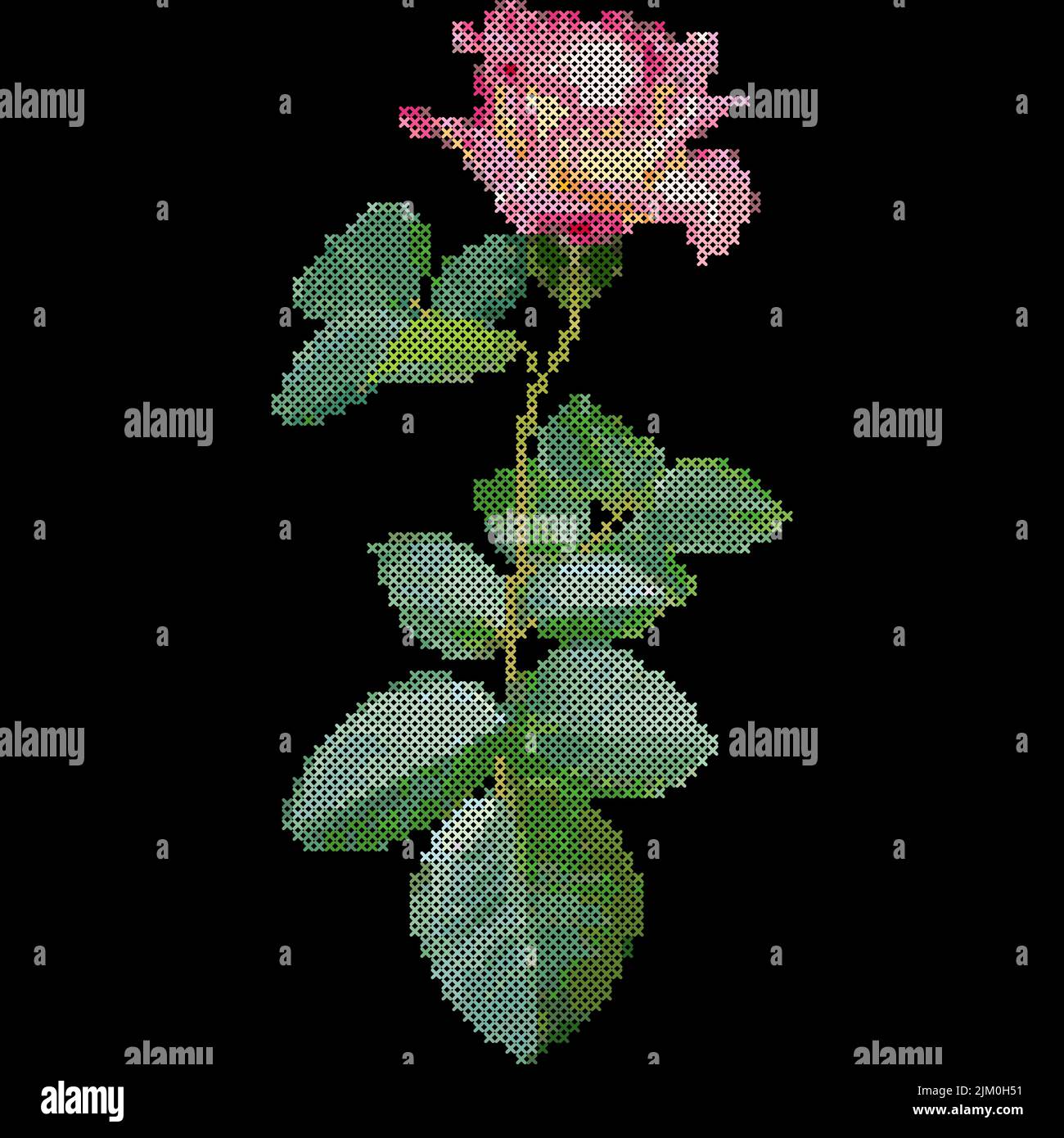 Cross stitch rose flower. Floral embroidery pattern, vector ...