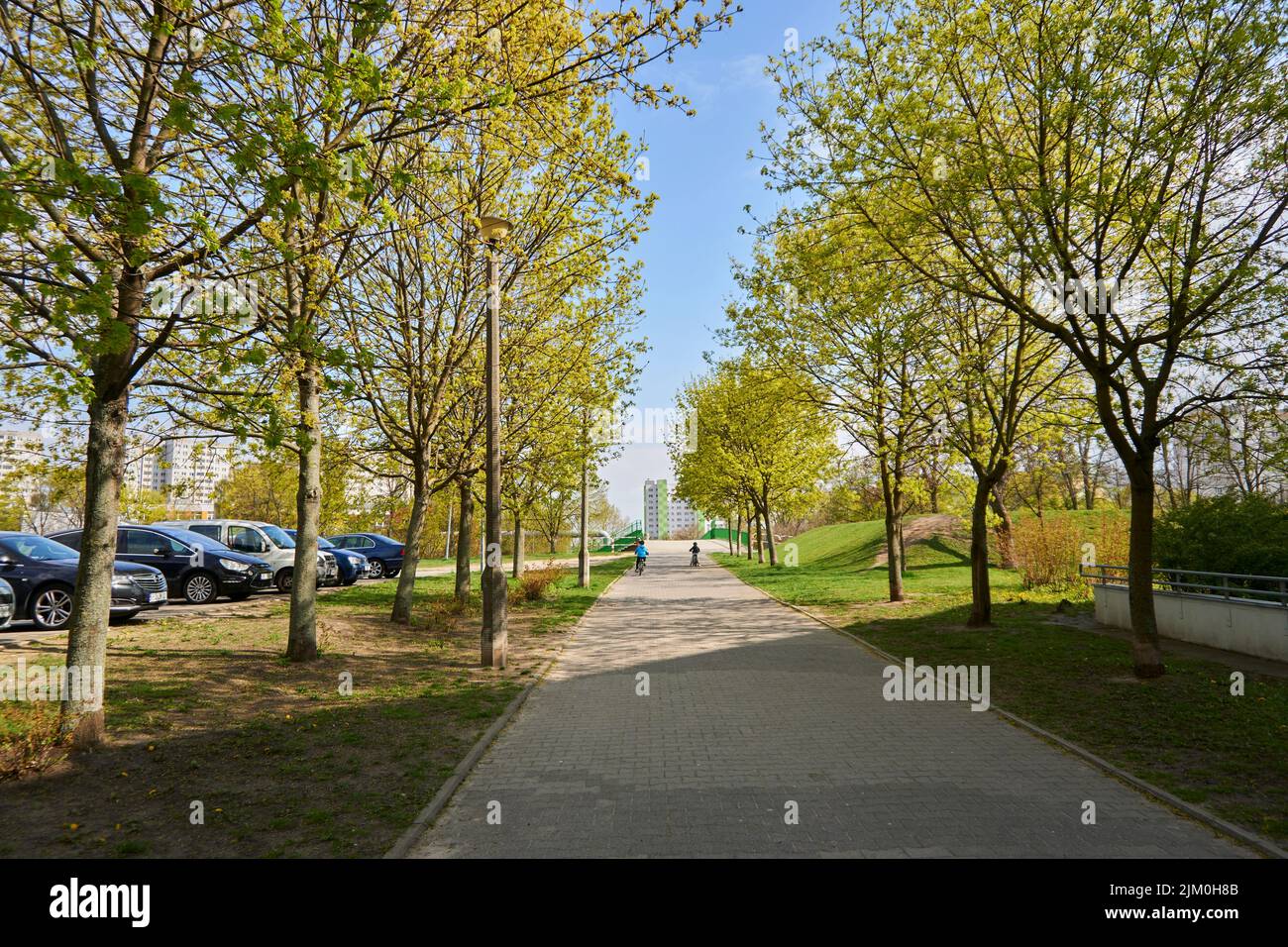 A pathway between trees and cars parked in the parking lot in Poznan ...