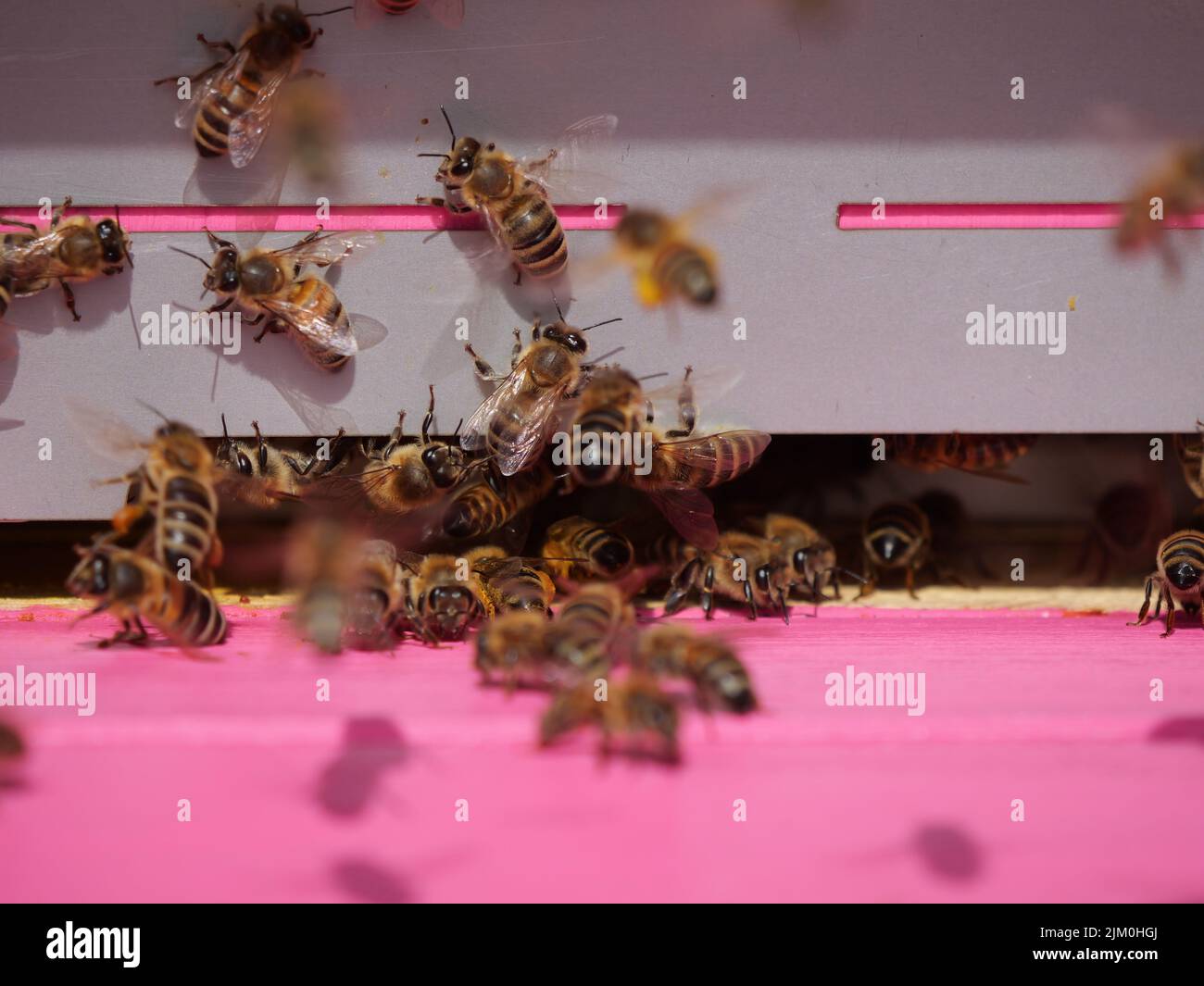 Interior beehive hi-res stock photography and images - Alamy