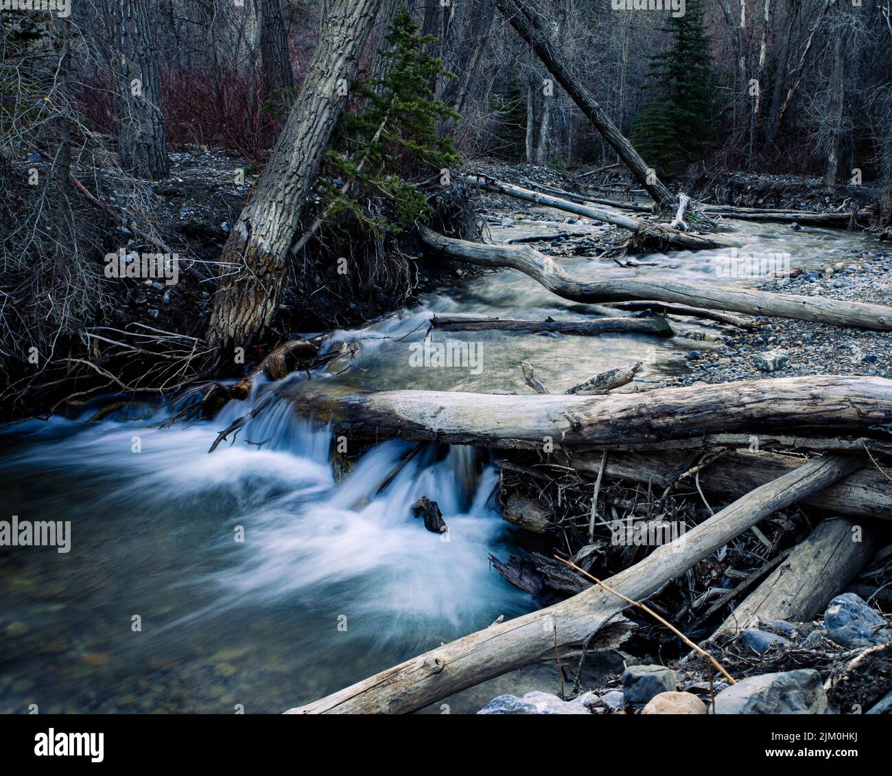 A beautiful view of a flowing river with logs fallen over it Stock ...