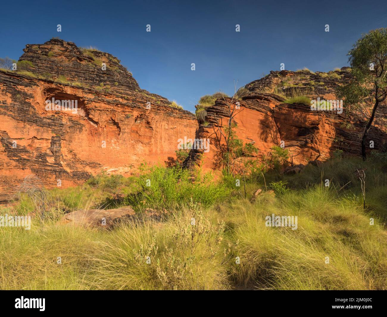 Quartz sandstone and congolmerate sedimentary karst rock formations ...