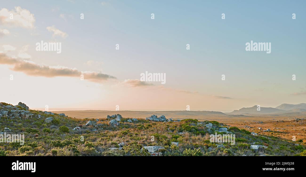 The wilderness of Cape Point National Park. The wilderness of Cape ...