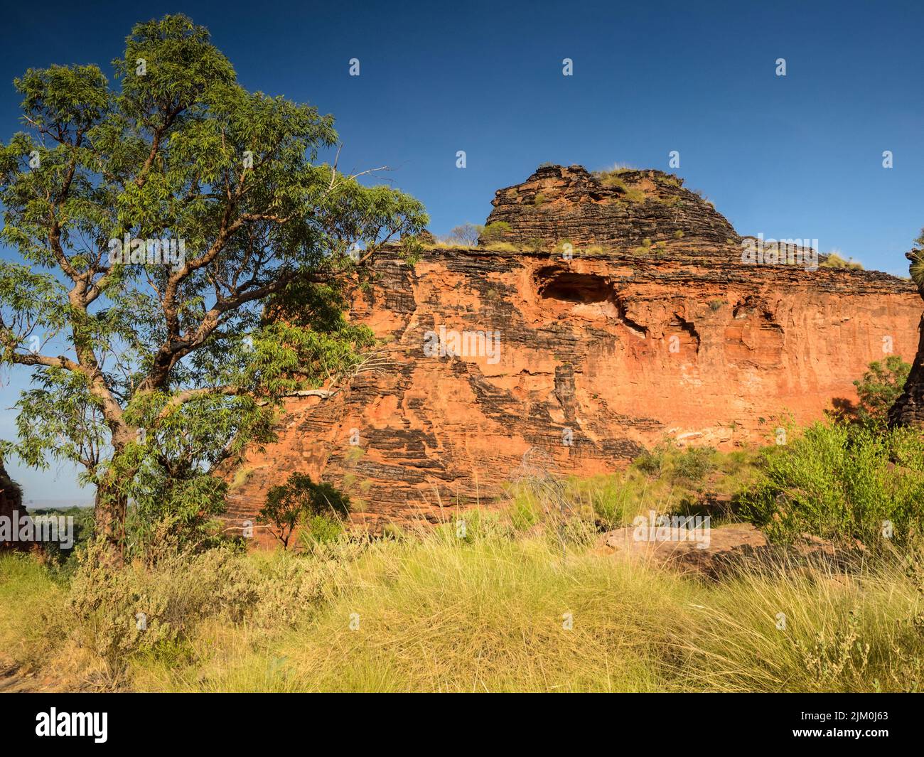 Quartz sandstone and congolmerate sedimentary karst rock formations ...