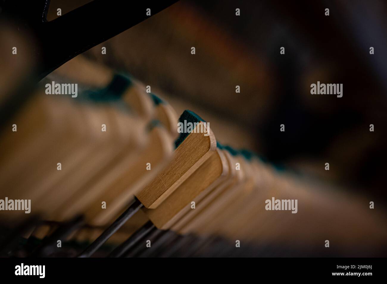 A selective focus shot of wooden keyboard hammer on strings. Inside ...