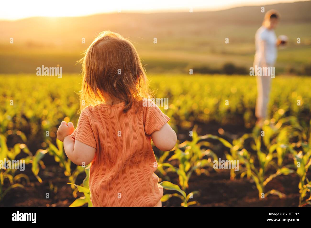 Rear view of a baby girl trying to catch up with her mom who is speed ...