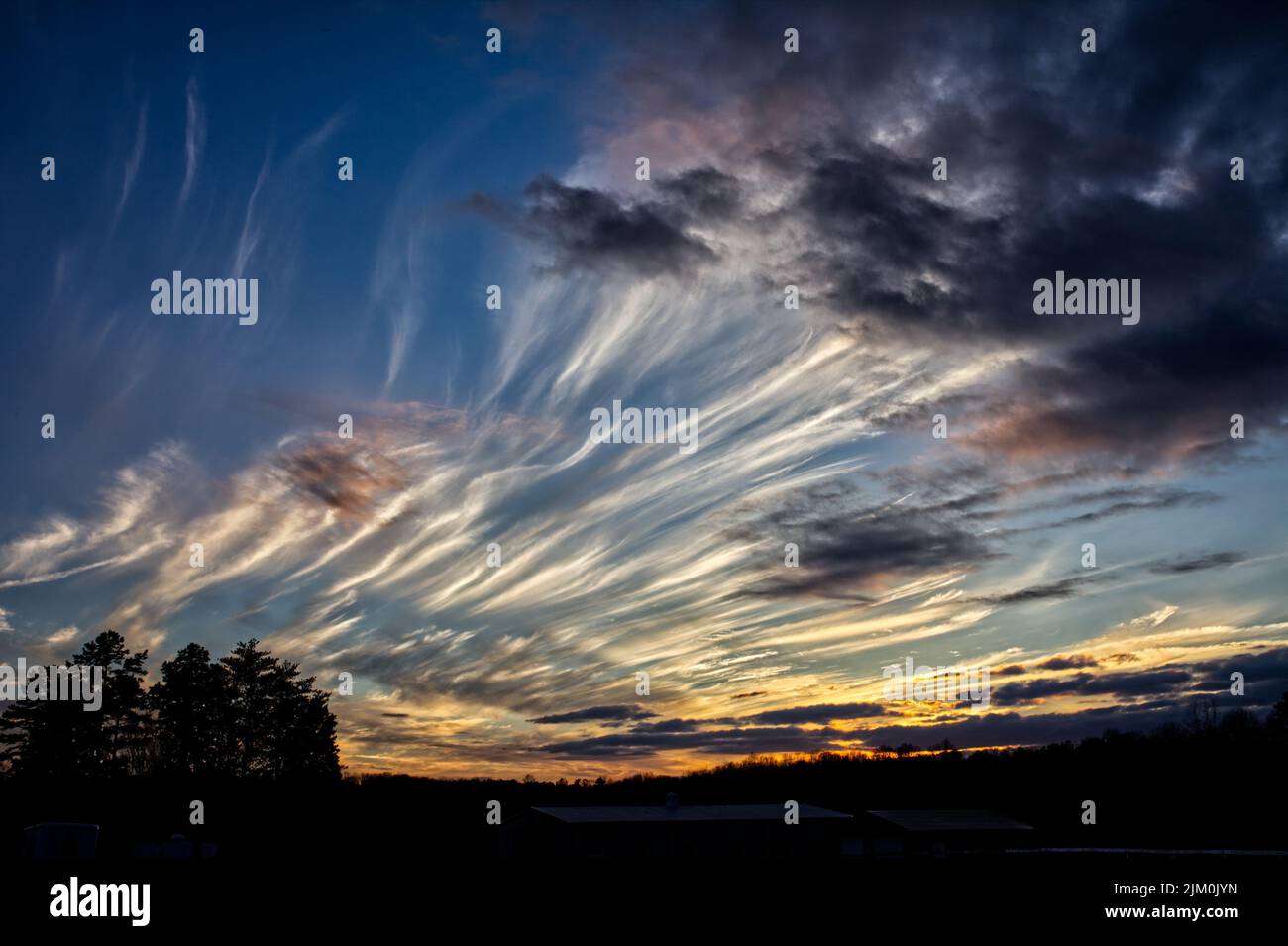 A silhouette of trees under cloudy sky during sunset Stock Photo - Alamy
