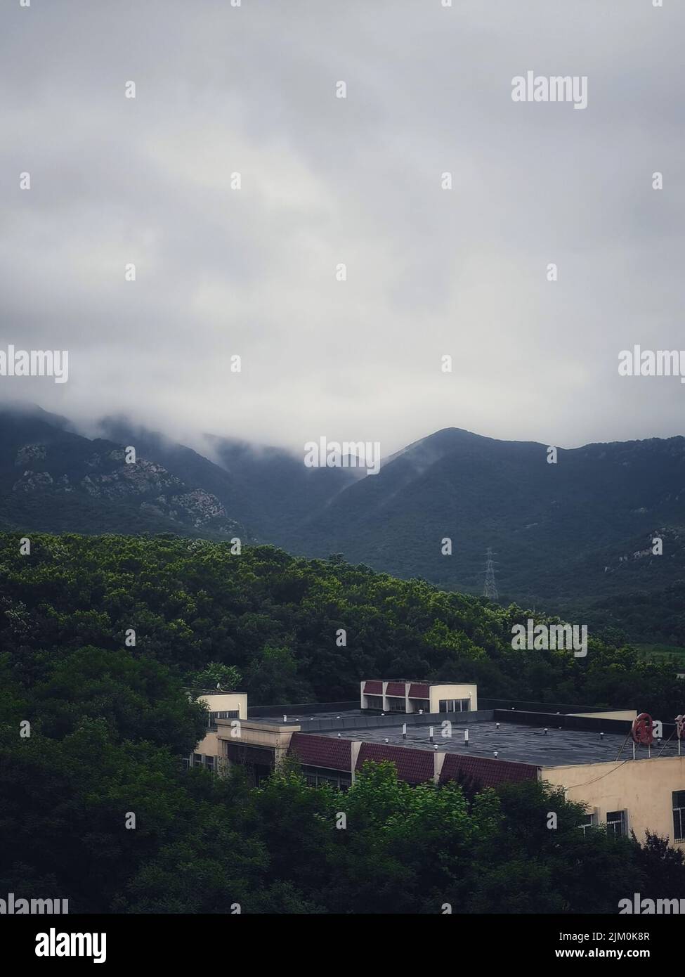 A view of building roof surrounded by green trees in background of huge ...