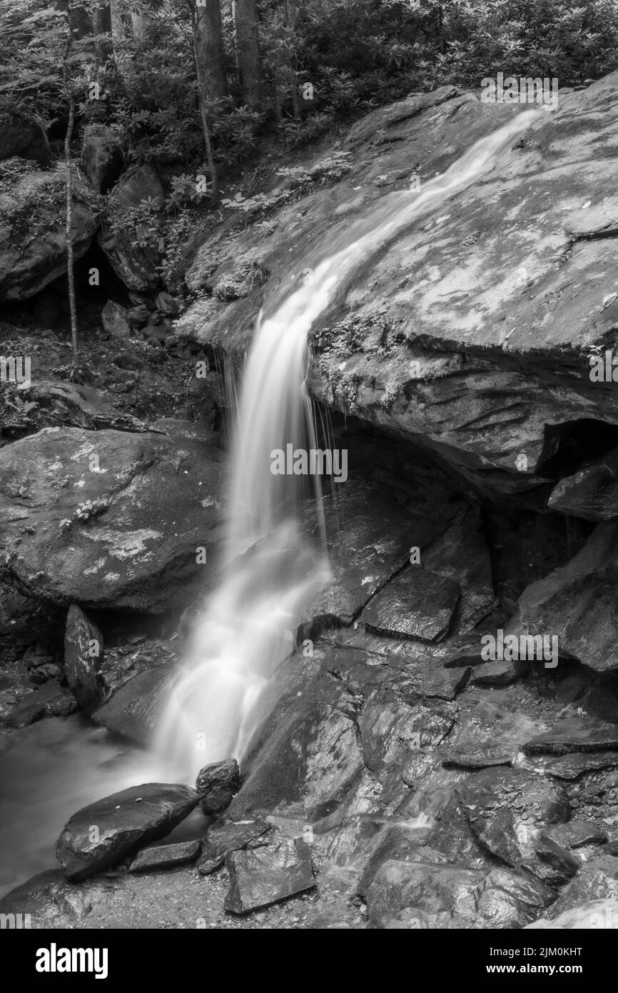 A vertical grayscale shot of the beautiful waterfall in the forest ...